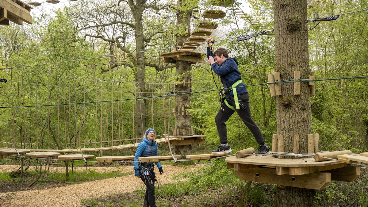 Treetop Adventure Plus Salcey Forest | Kids’ High Ropes