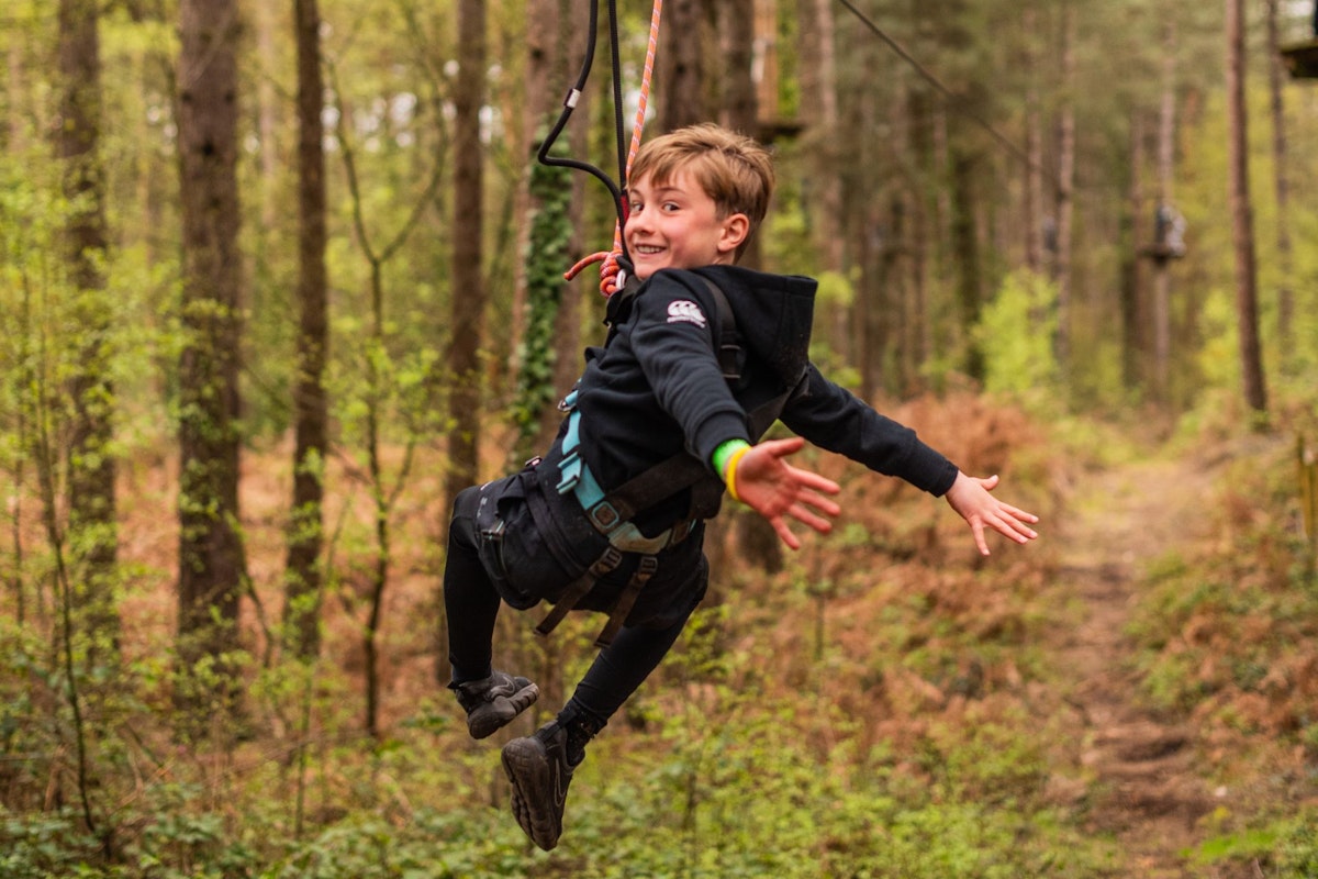 Treetop Adventure Plus Beechenhurst | Go Ape High Ropes