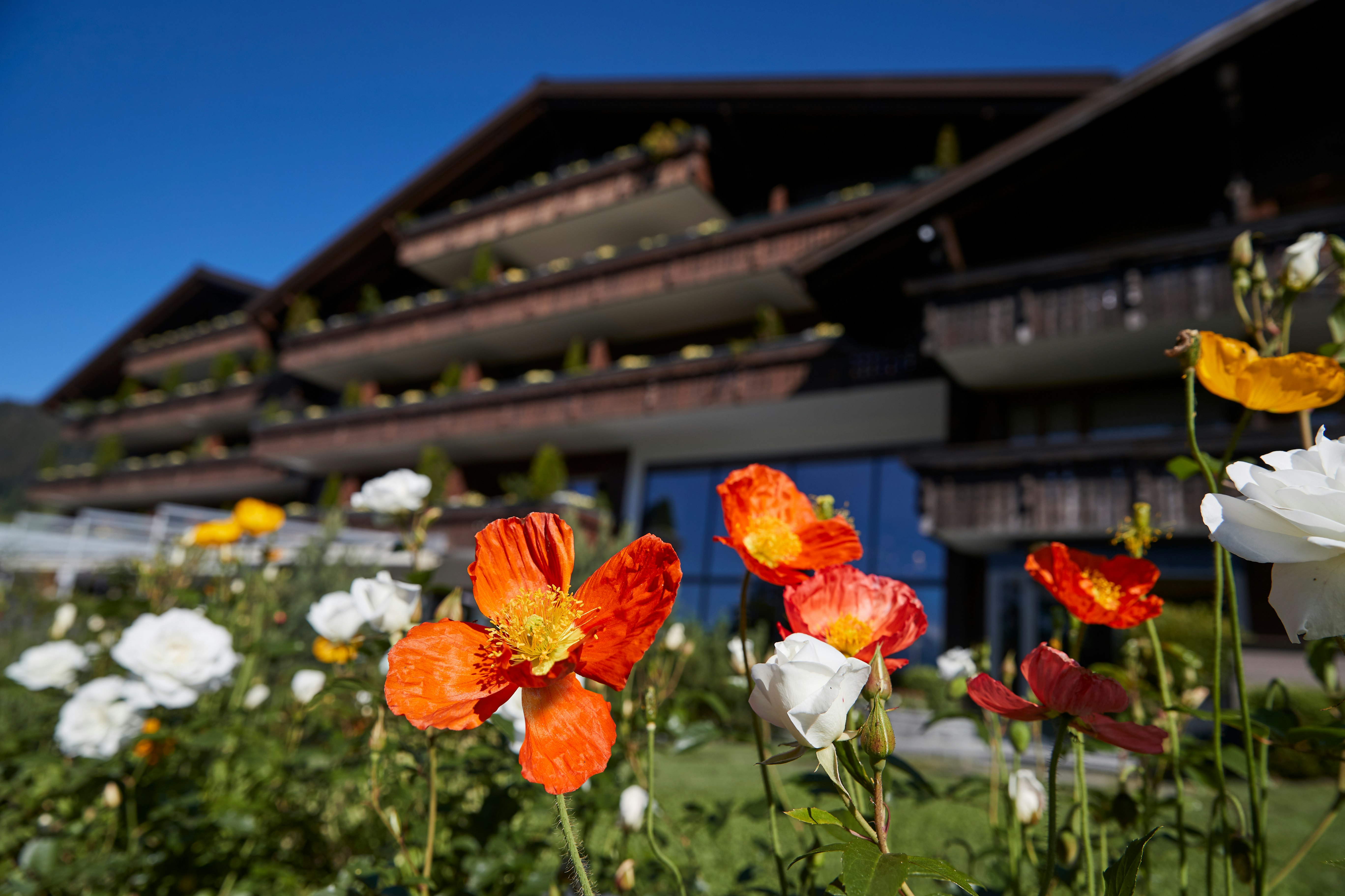The Hotel | ERMITAGE Wellness- & Spa-Hotel