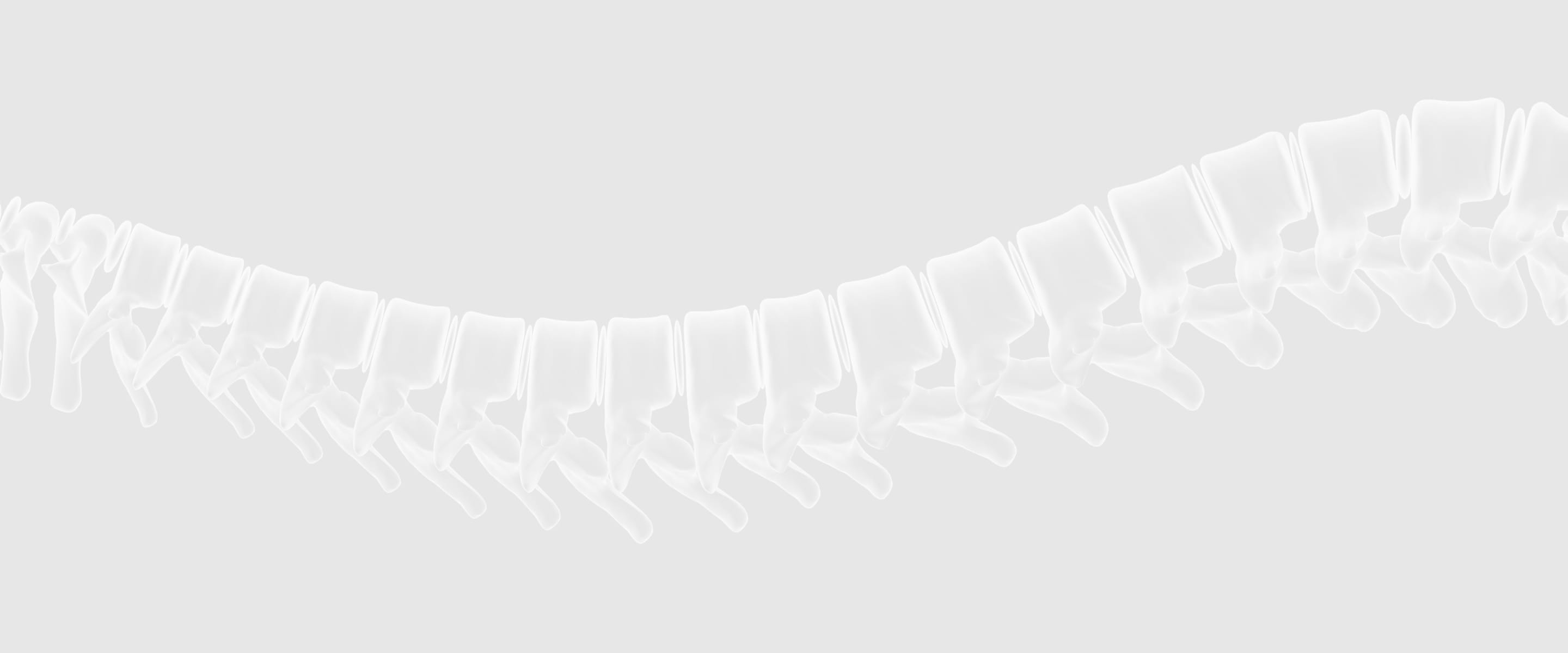 Barricaid Annular Closure Device NYC | Jonathan R. Stieber, MD