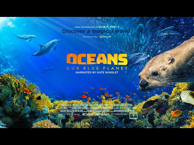 OceanX