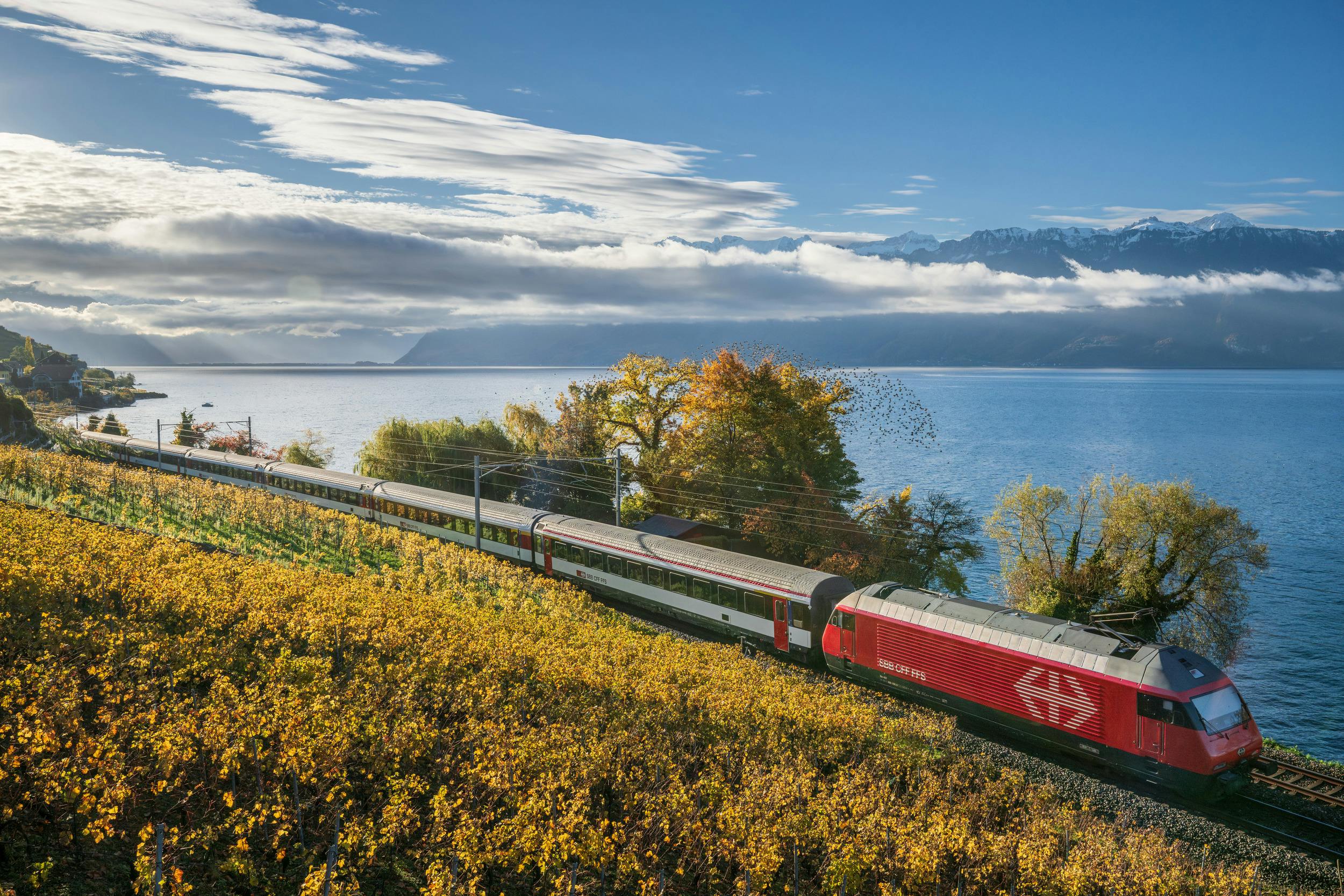 SBB Congress Ticket - Travel Switzerland