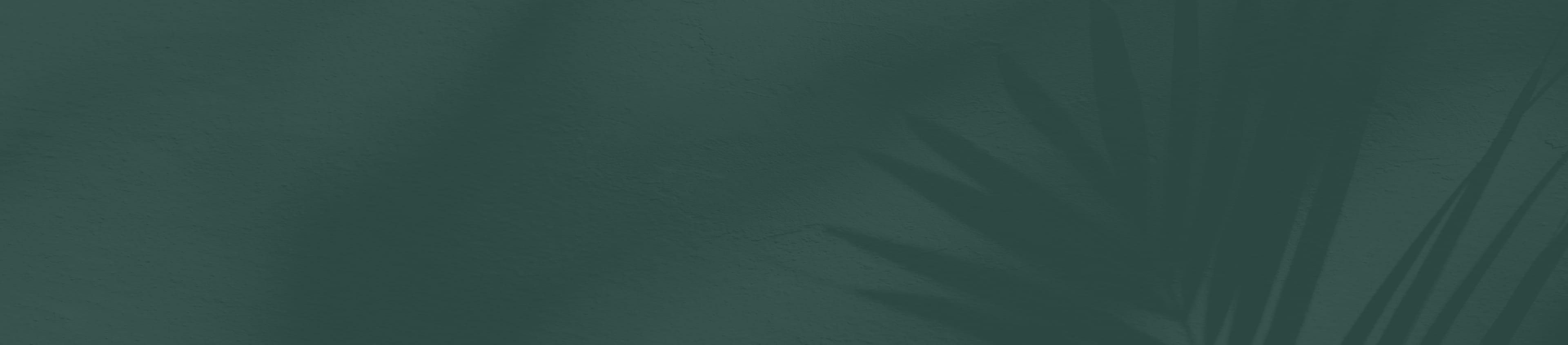 Functional Medicine Doctor | Dr. Anju Mathur | Los Angeles