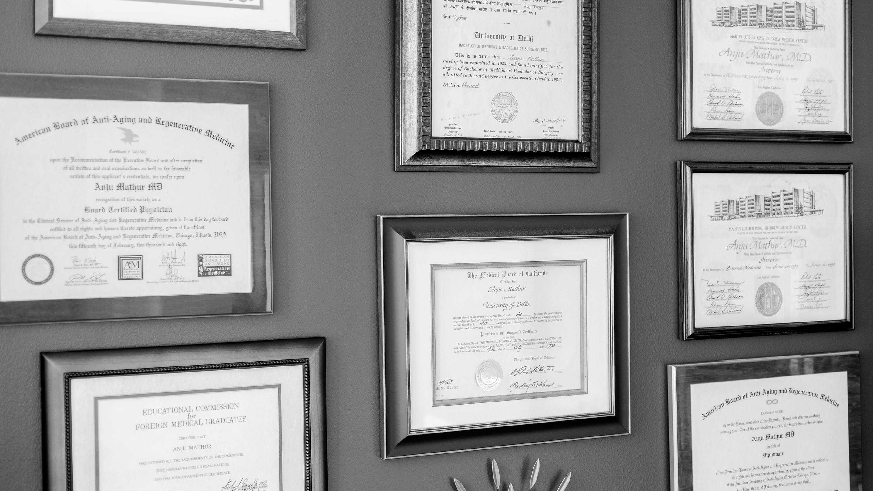 Functional Medicine Doctor | Dr. Anju Mathur | Los Angeles