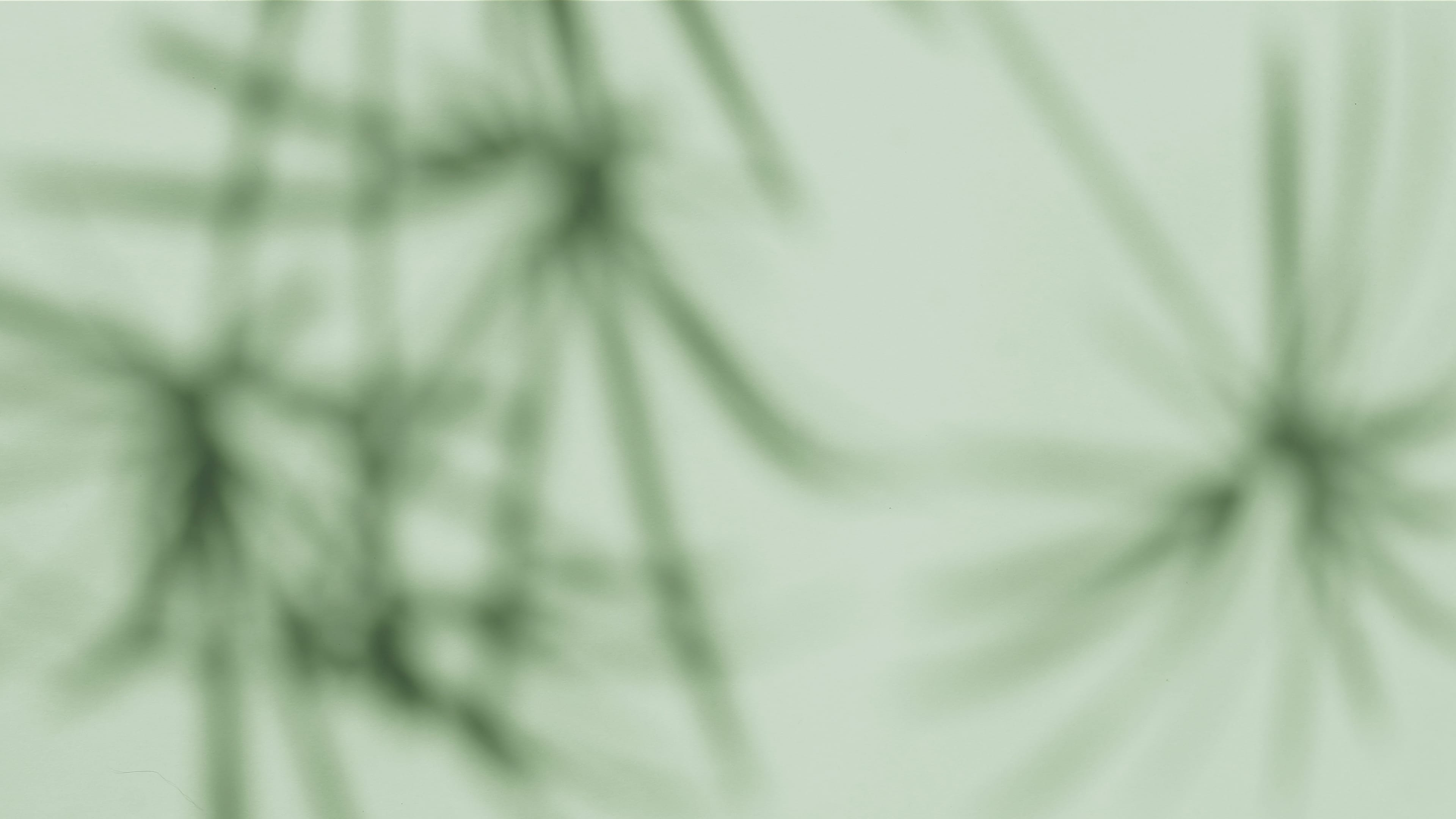 Functional Medicine Doctor | Dr. Anju Mathur | Los Angeles