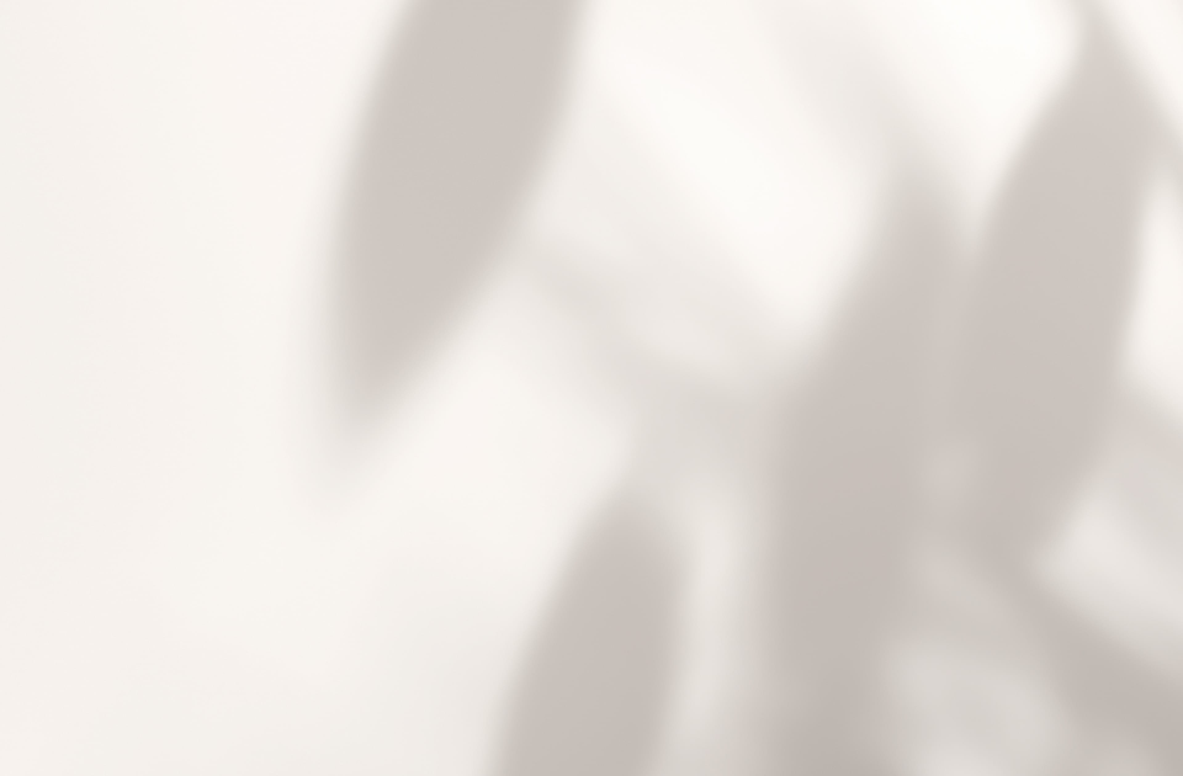 Meet Dr. Brook Seeley | Connecticut Facial Plastic Surgery