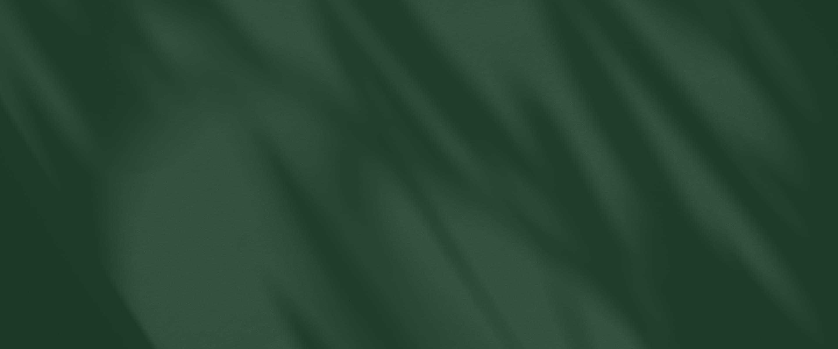 Meet Dr. Brook Seeley | Connecticut Facial Plastic Surgery