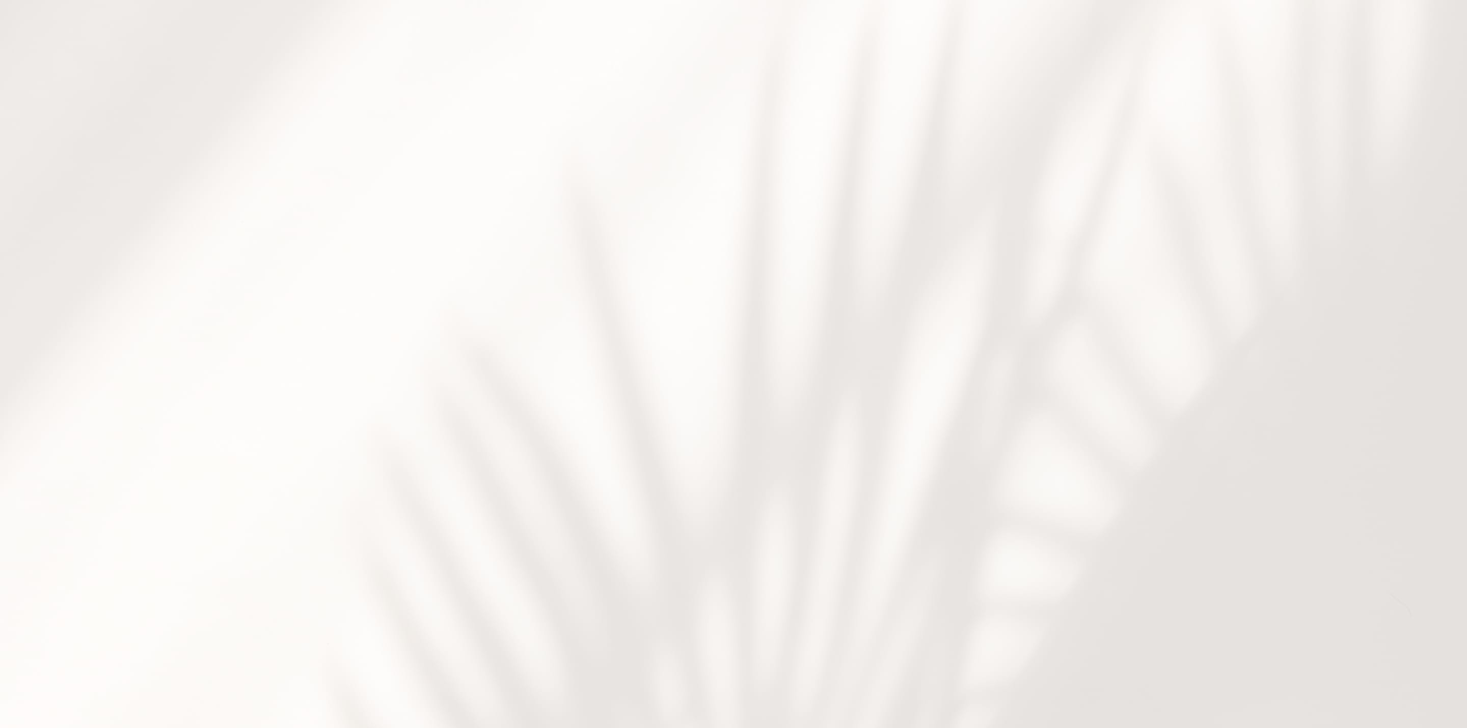 Facial Plastic Surgery | Facial Cosmetic Surgery Hartford | Connecticut ...