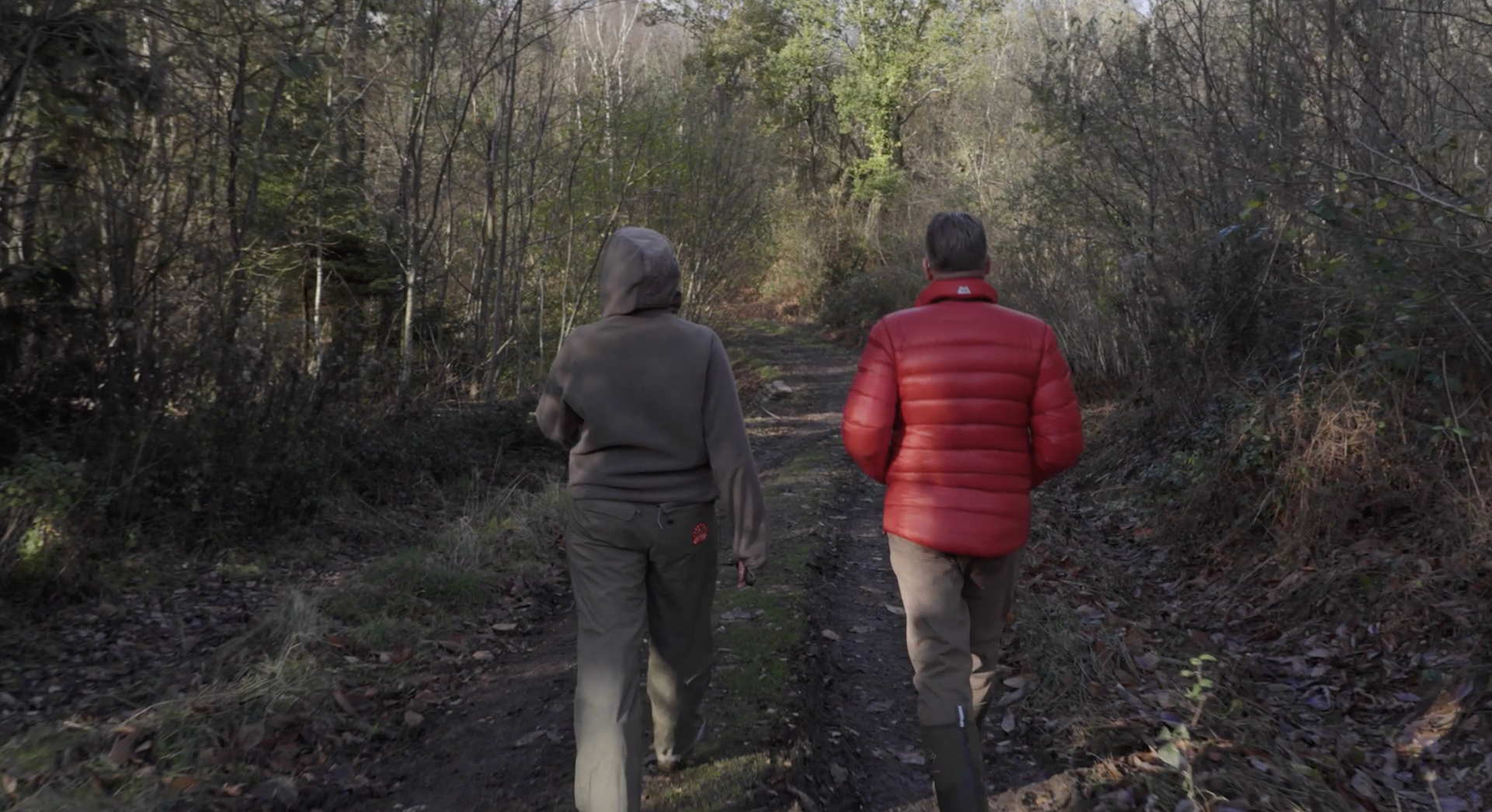 Winter Wildlife at Bowyers Wood Before the Beavers Arrive