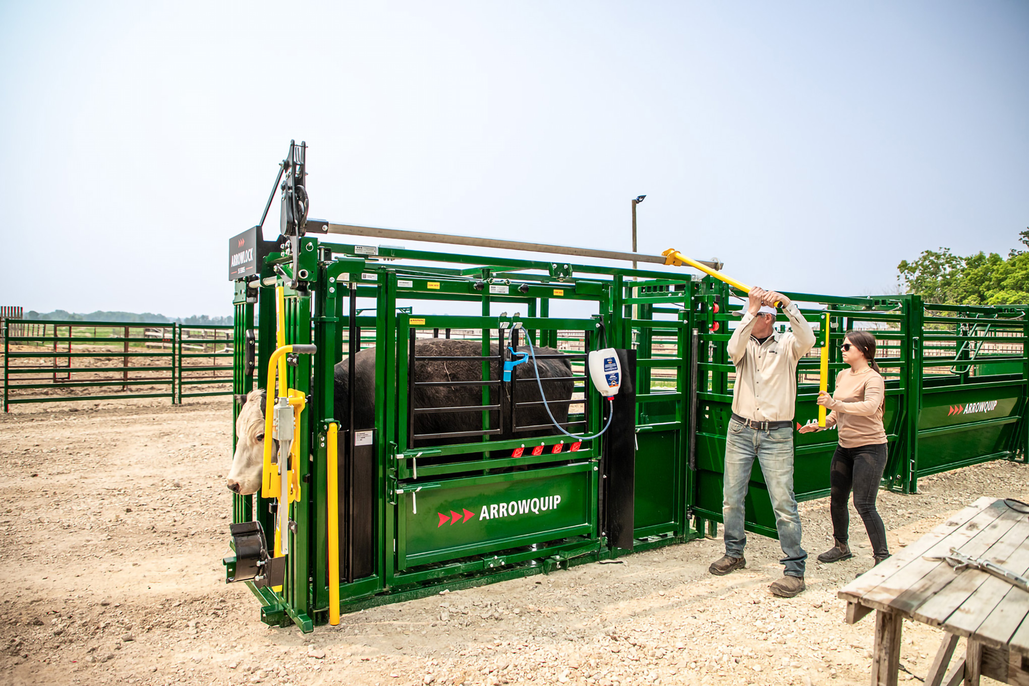 Arrowlock 55 Series Cattle Chute | Arrowquip