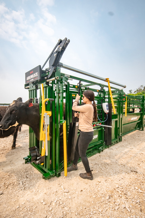 Arrowlock 55 Series Cattle Chute | Arrowquip