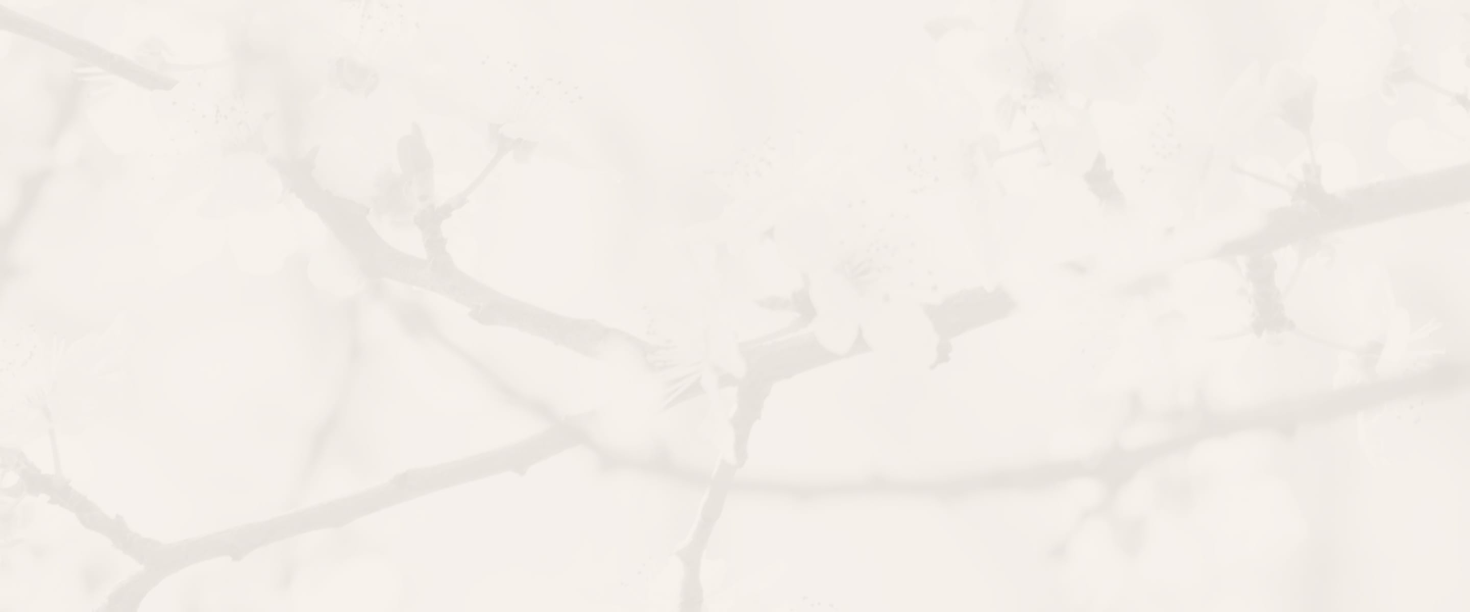 SkinVive San Jose | Cheng Plastic Surgery