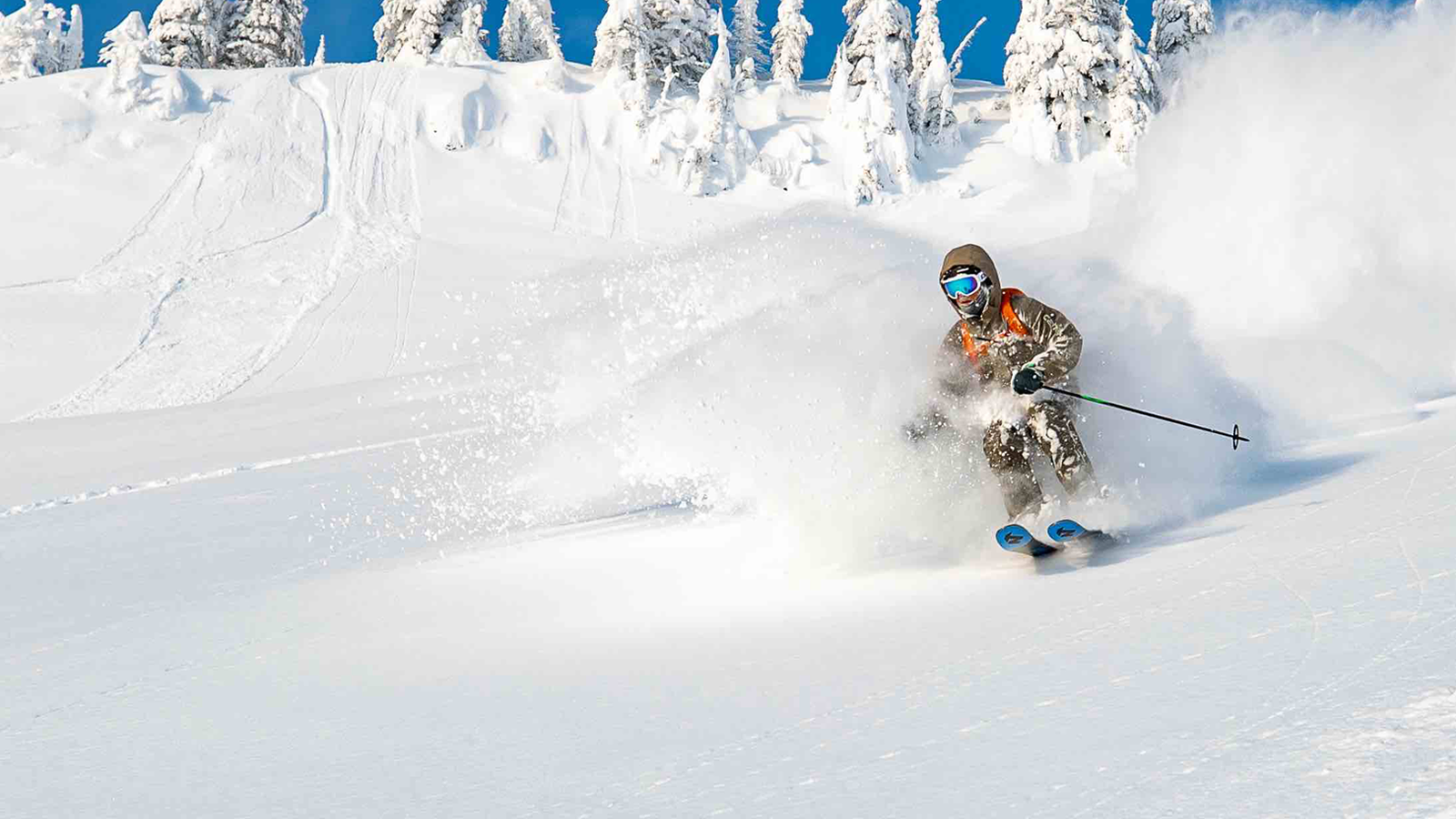 Deep Dive: Nordica Enforcer 110 Free