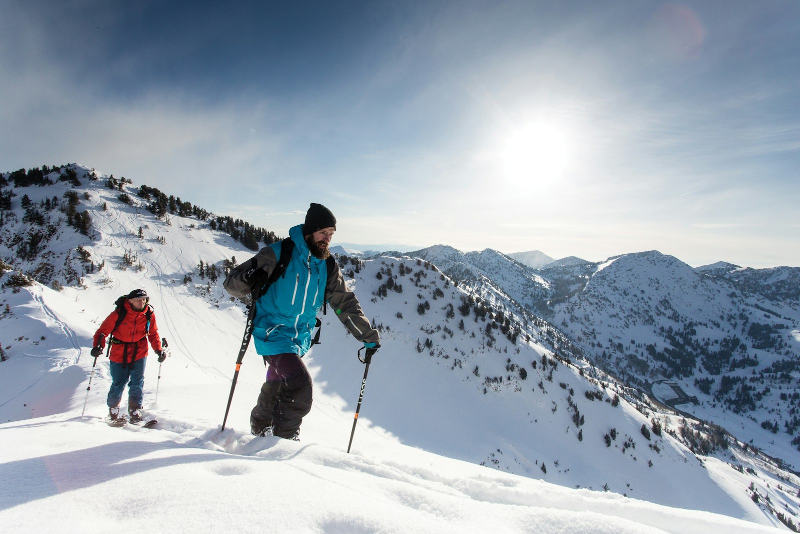 Roxa: New Name, Trusted Product