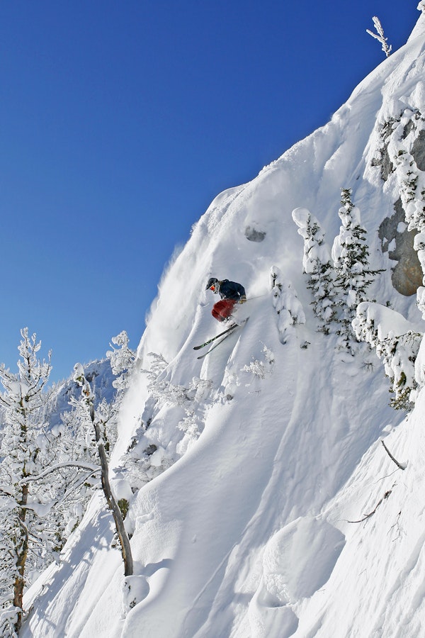 Bridger Bowl Ski Area Ski Resort Guide | FREESKIER