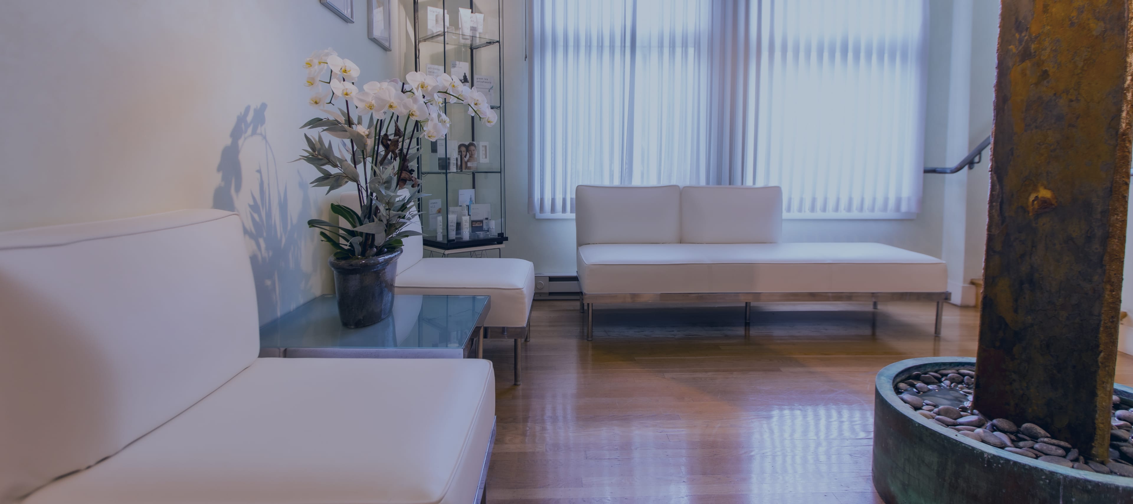 Dr. Corey Maas | The Maas Clinic™