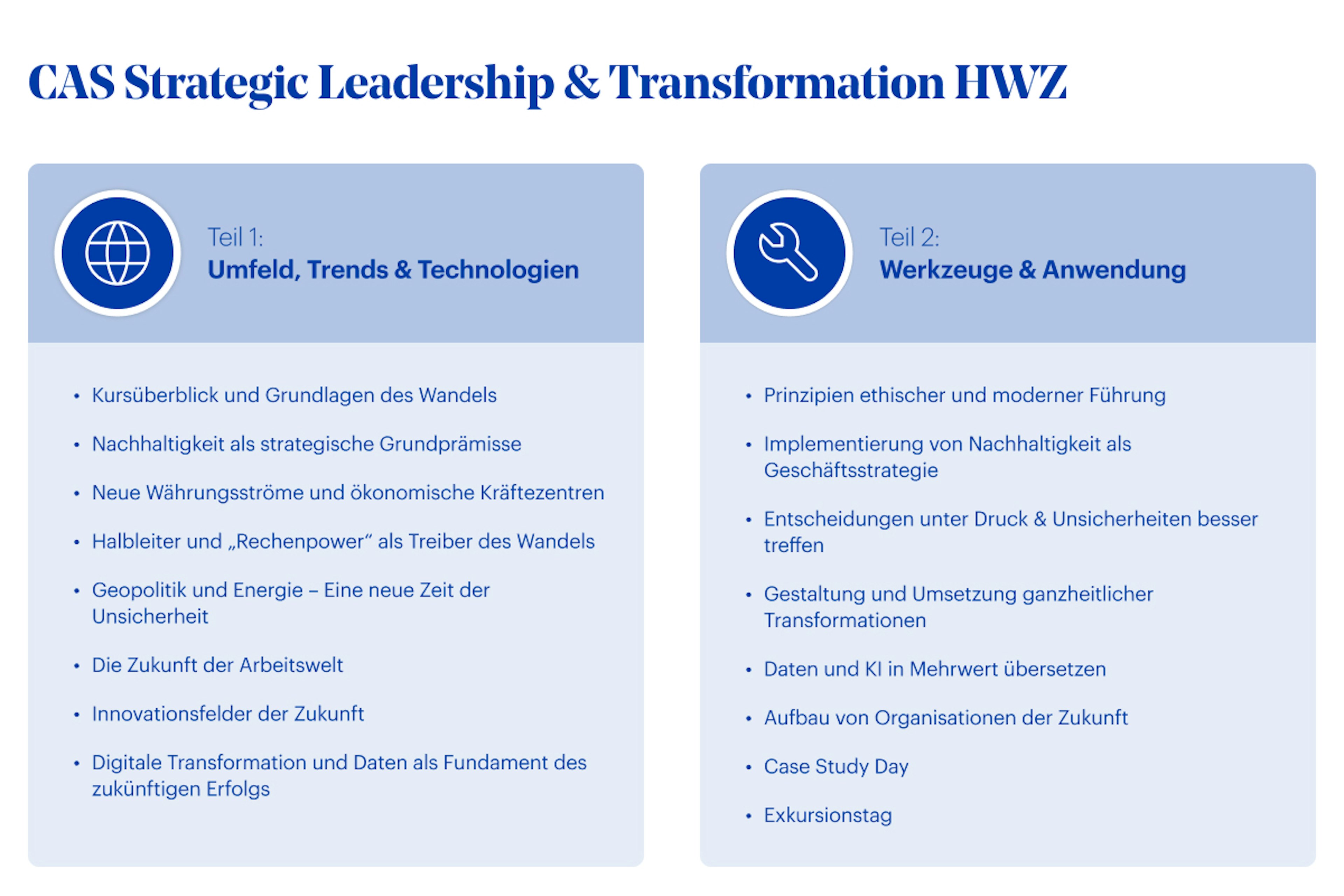 CAS Strategic Leadership & Transformation HWZ Zürich