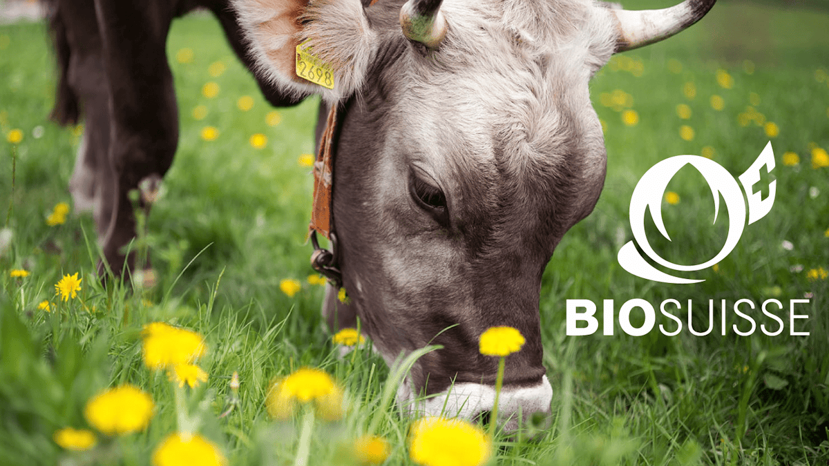 Bio Suisse | Insights & Cases | Bring! Labs