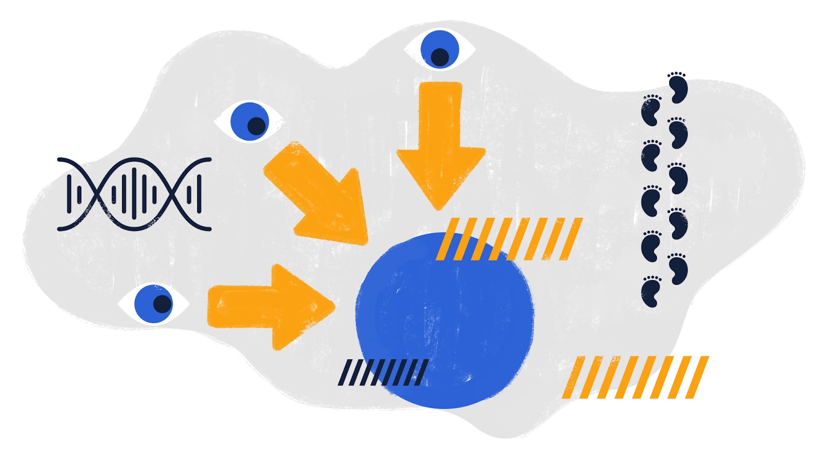 15 Steps to Understand & Influence User Behavior: A Deep Dive