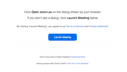 Zoom UX Review: 8 Ways To Make The App Better