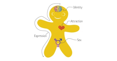 The Genderbread Person | hues