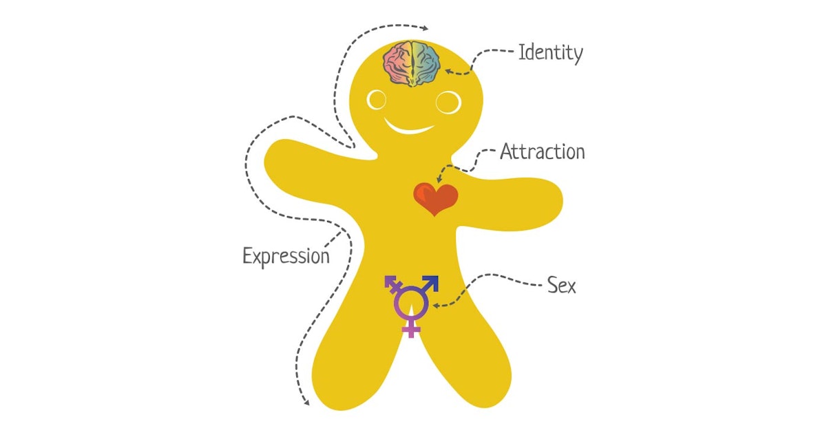 The Genderbread Person | hues