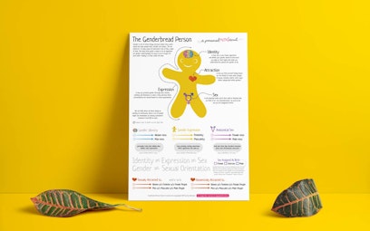 The Genderbread Person | hues