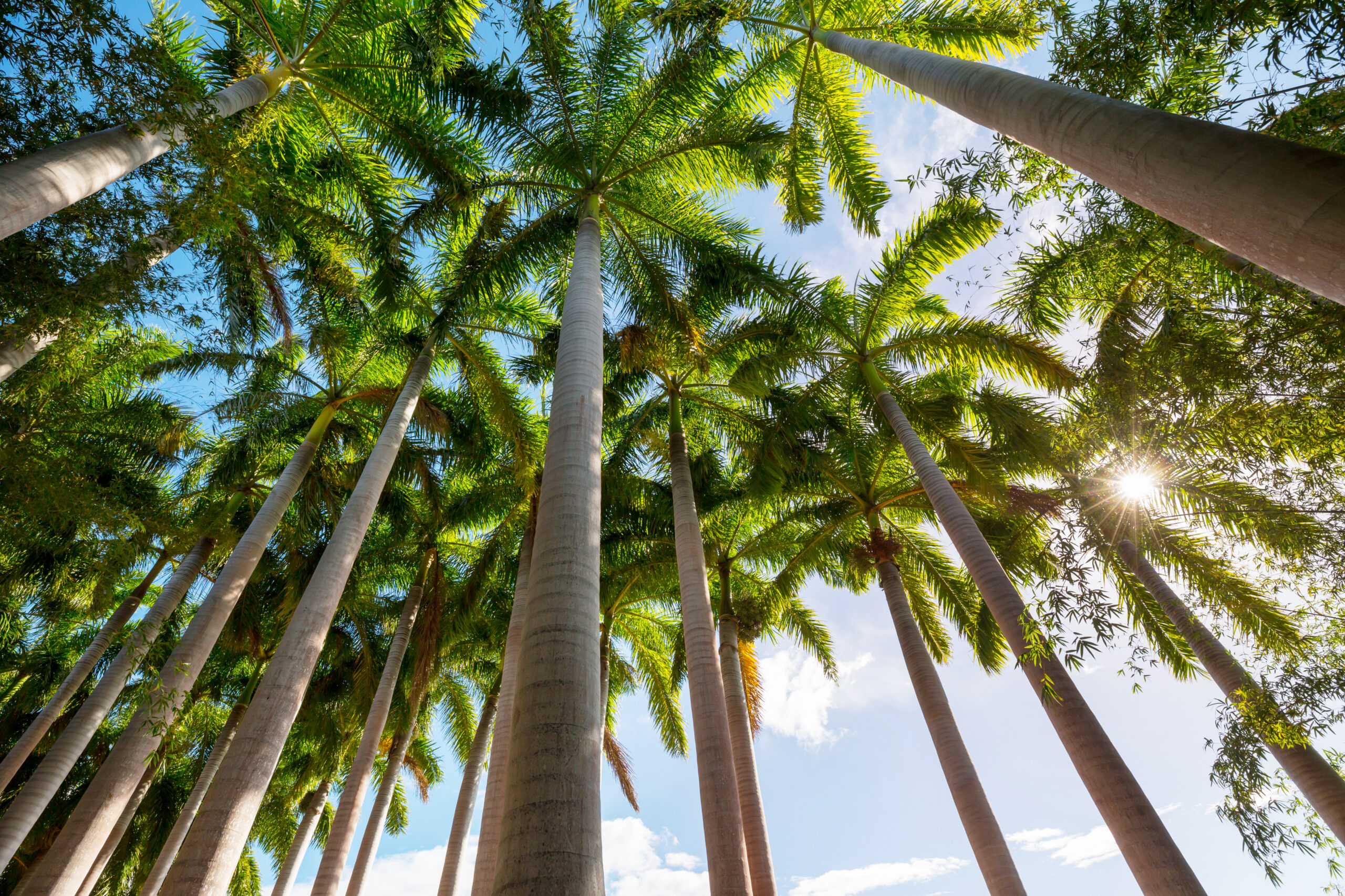 Lemon Law Attorney Orange County: How to Choose the Best Lawyer for ...