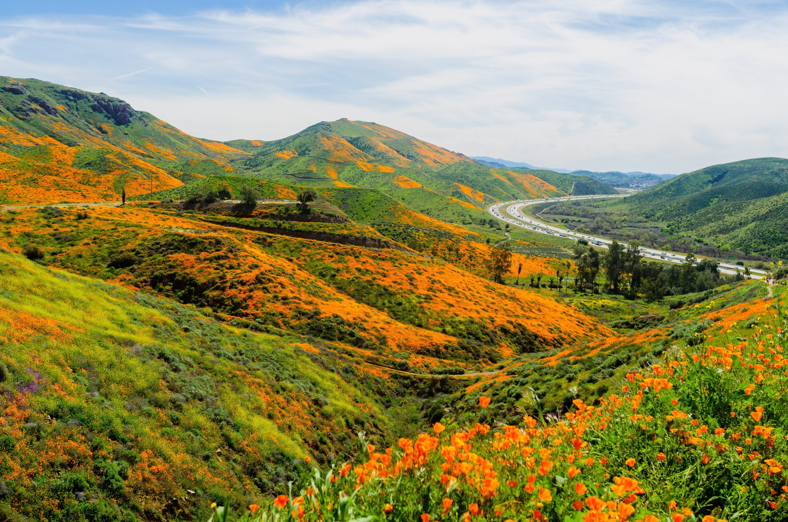 Lemon Car Attorney: Understanding Your Legal Rights and Options - Quill ...