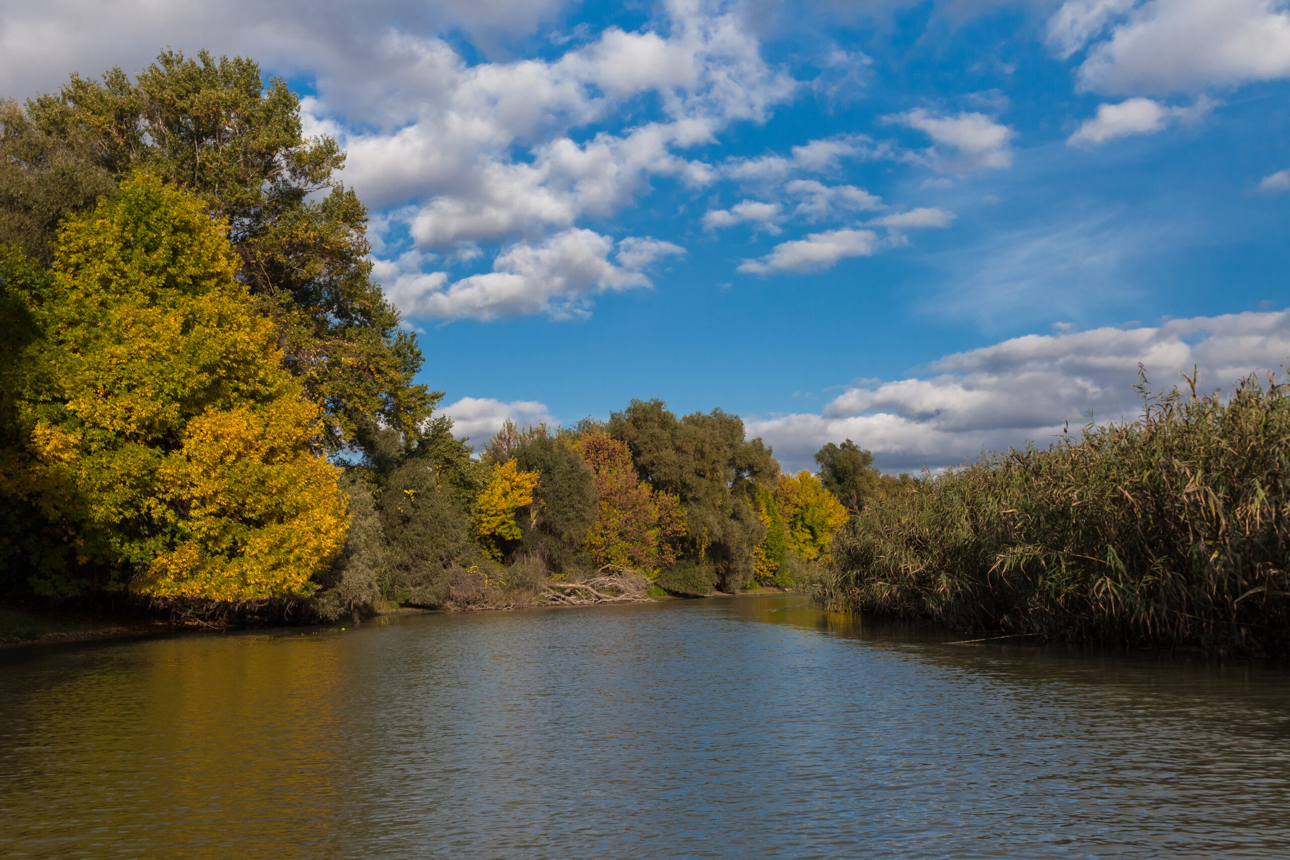 Lemon Law Attorney: Sacramento, CA Specialists Quill & Arrow, LLP Teach ...