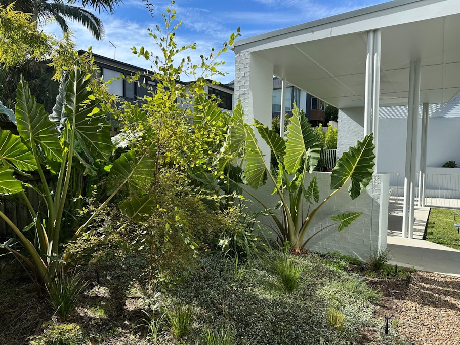 SOD Design Landscape Architecture | SOD Design