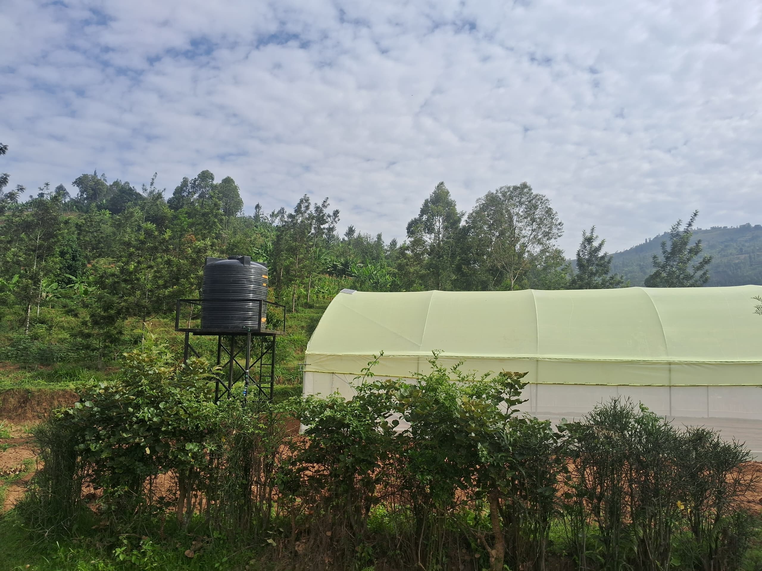 Smart Farming in Rwanda: Inside tecGrw’s Smart Greenhouses | tecGrw ...
