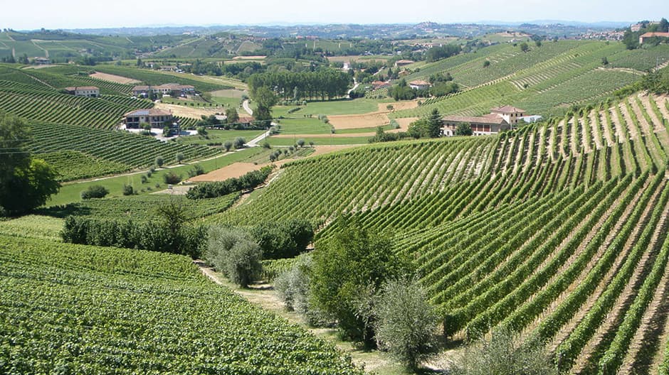 Alla scoperta...delle Langhe | Proposta Vini