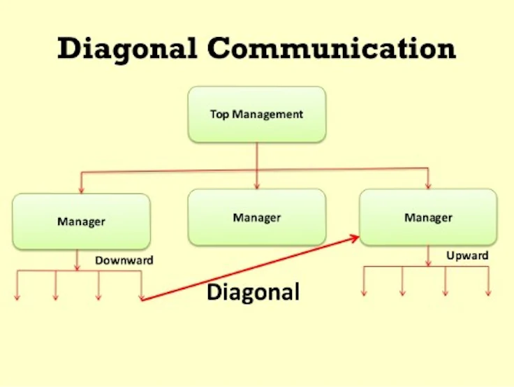 Horizontal communication: Definition, advantages & types