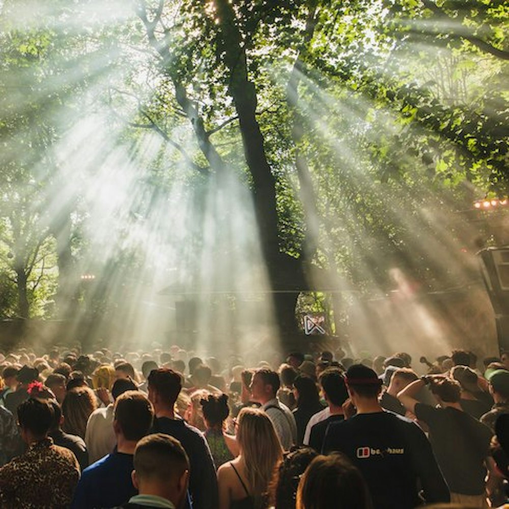 Pirate's Top Picks For Gottwood '22