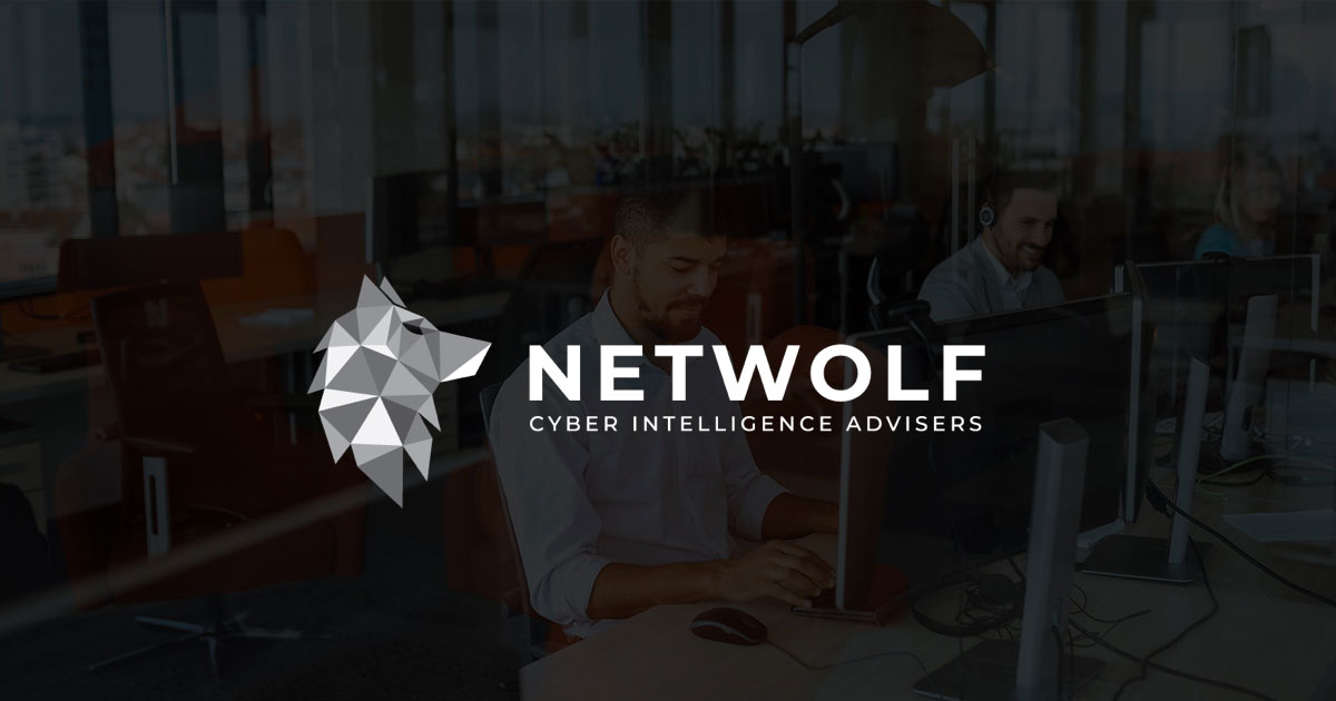NetWolf Cyber Intelligence Advisors | Cyber Security Long Island, Data ...