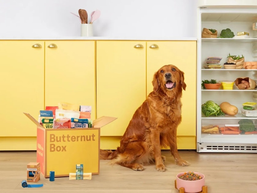 Butternut Box secures £65m debt funding from Liquidity to expand ...