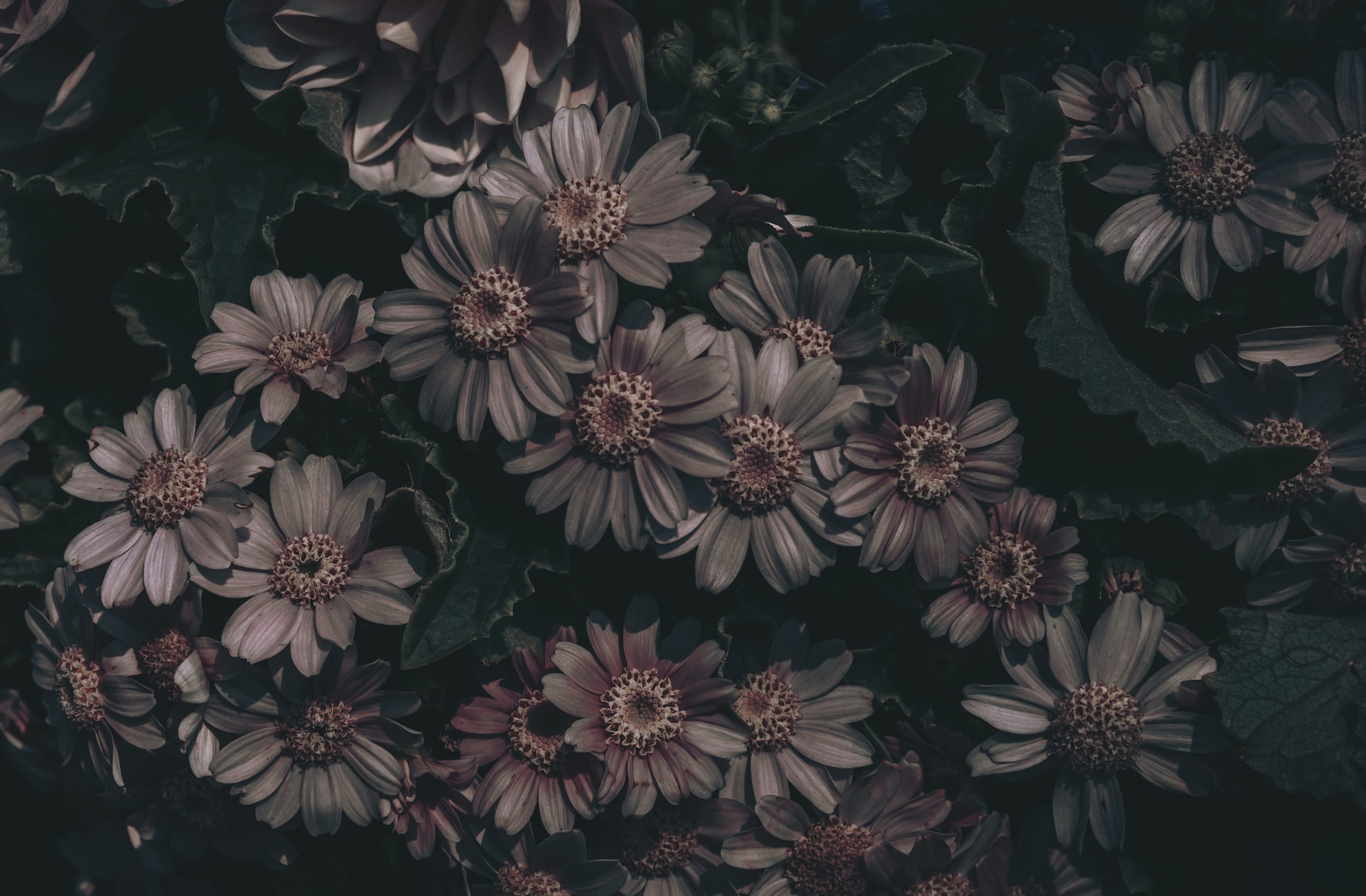 Non-Surgical Body Sculpting in Dripping Springs, TX | Rêve Plastic Surgery