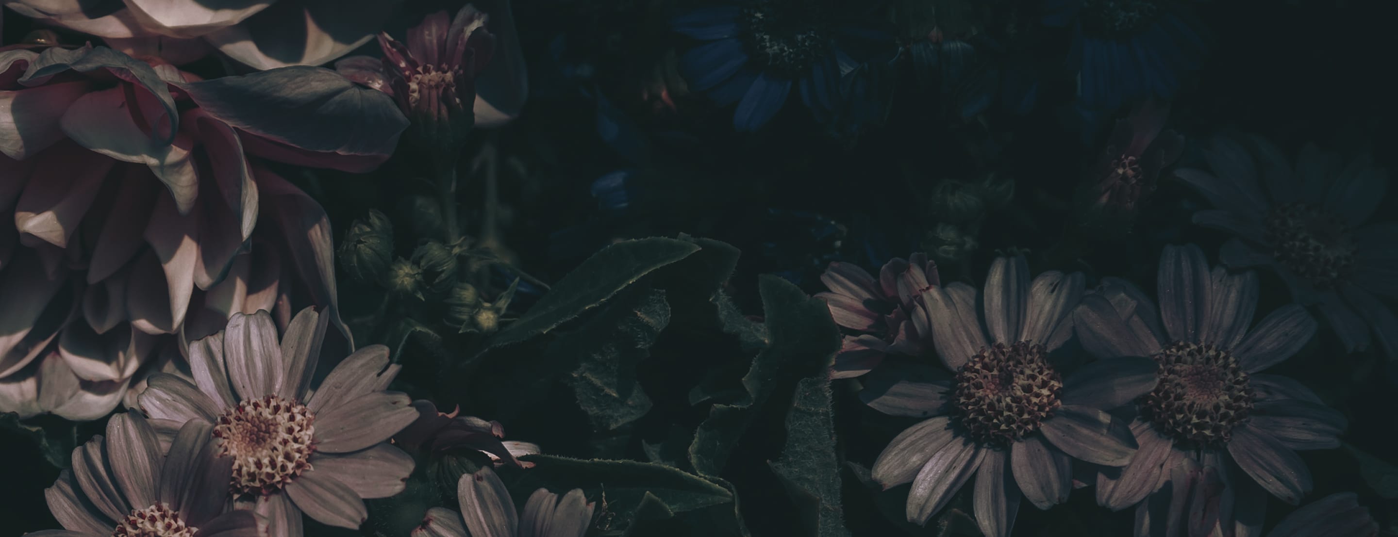 Videos | Rêve Plastic Surgery