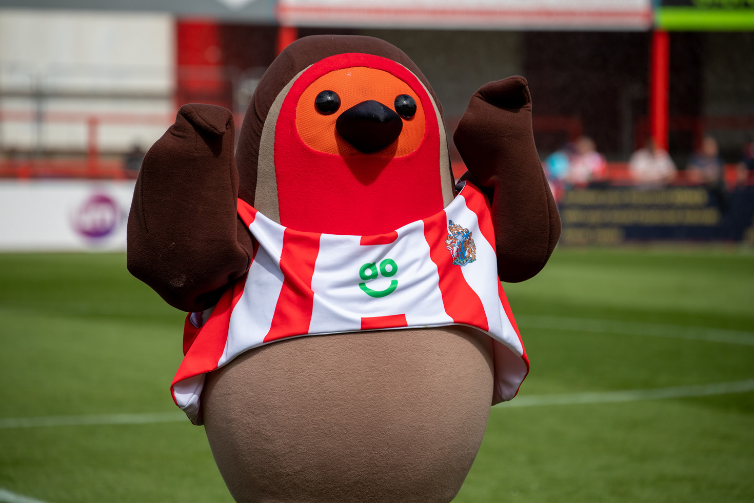 Preview | Altrincham (H) | WE ARE FGR