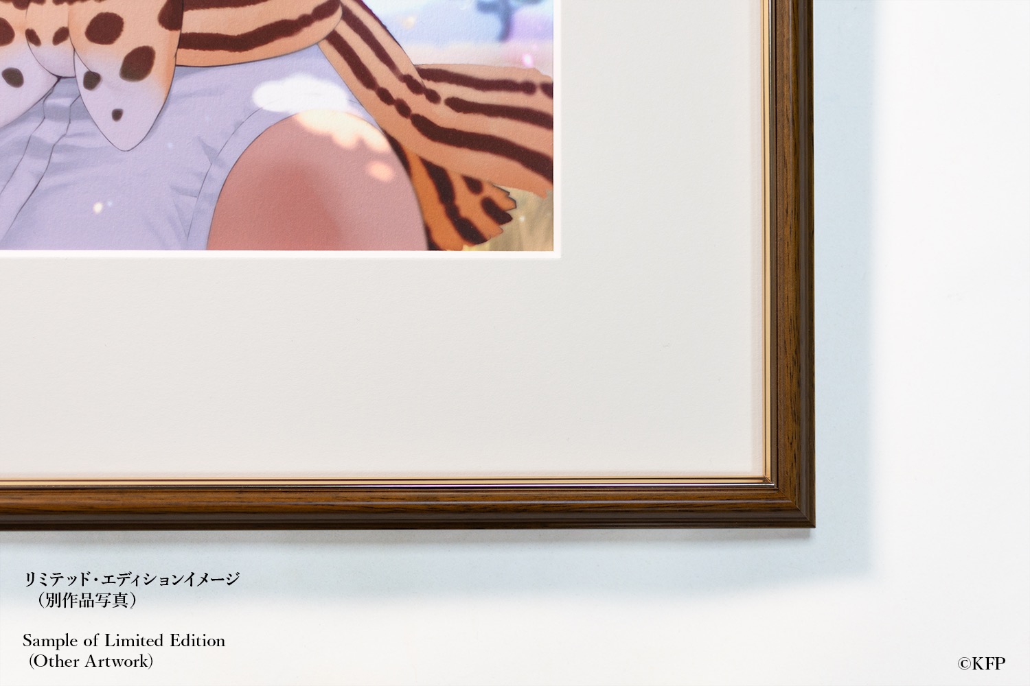 Kemono Friends 007 | Anique,