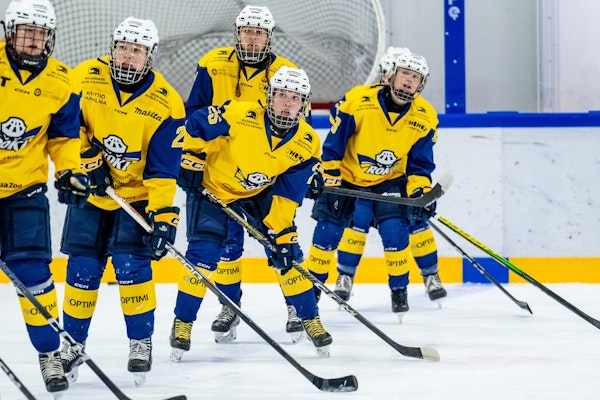 Naisten Liigan karsintoja ei pelata tänä keväänä - Leijonat