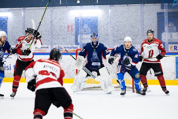 Suomi-sarjan kauden 2024–25 runkosarjan ohjelma julkaistu - Leijonat