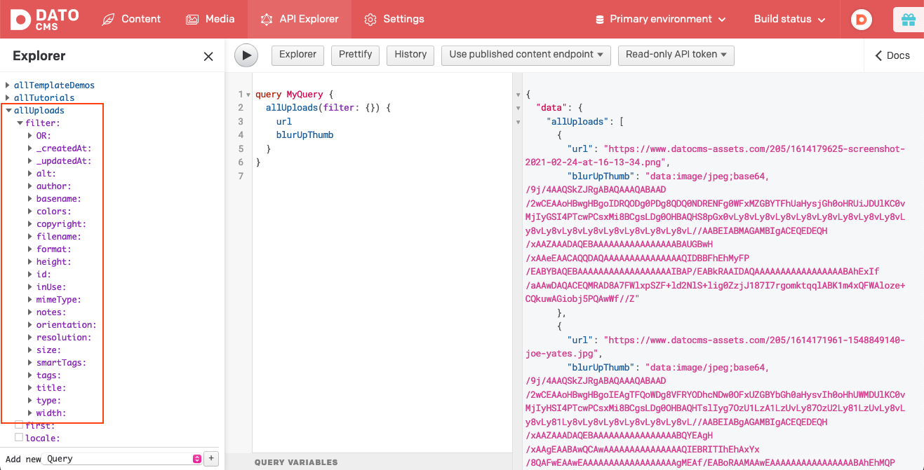 Content Delivery API Images And Videos DatoCMS Docs Content Delivery API Images And Videos DatoCMS Docs