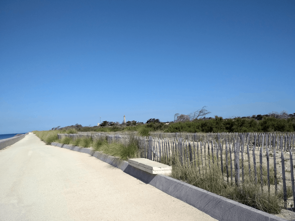 ID generator - Plugins — DatoCMS