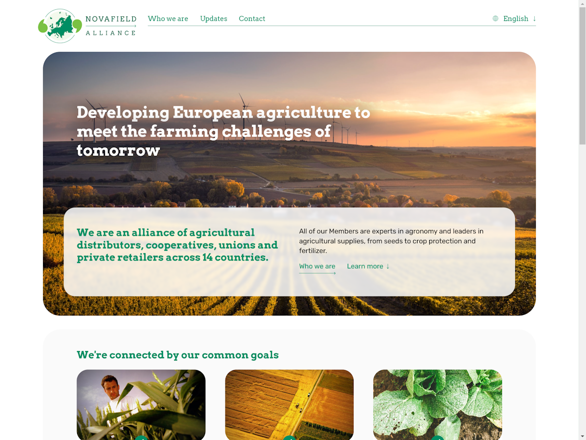 Novafield | Convincible | DatoCMS Partners