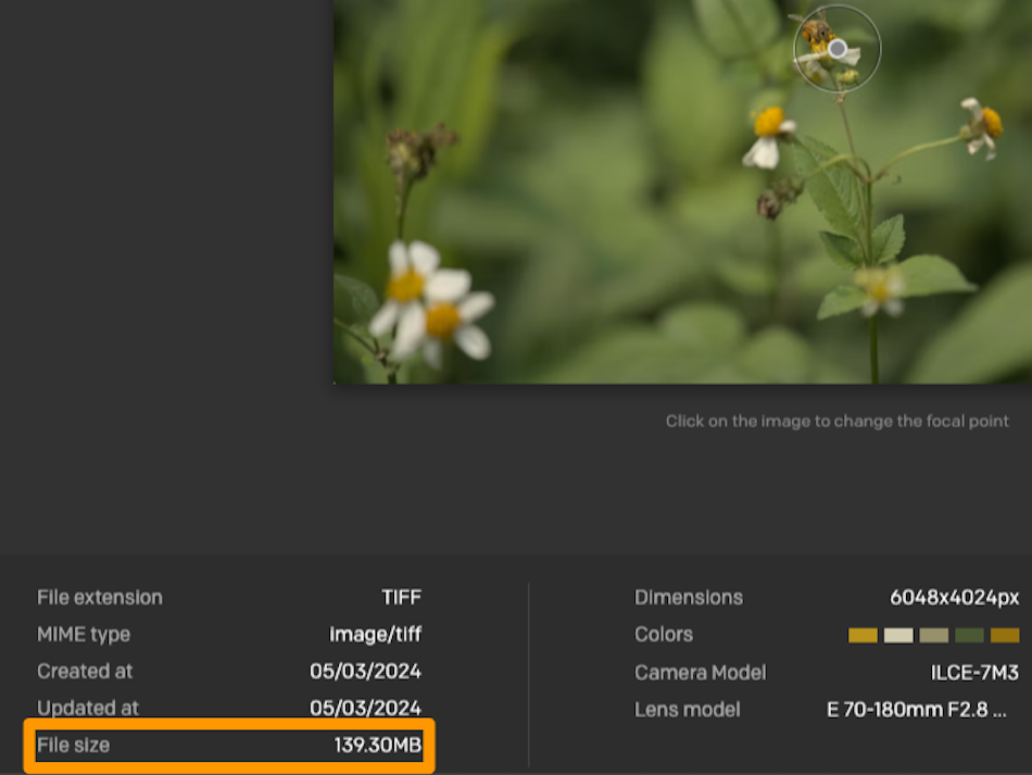 Making Media Optimization a Breeze with DatoCMS — DatoCMS