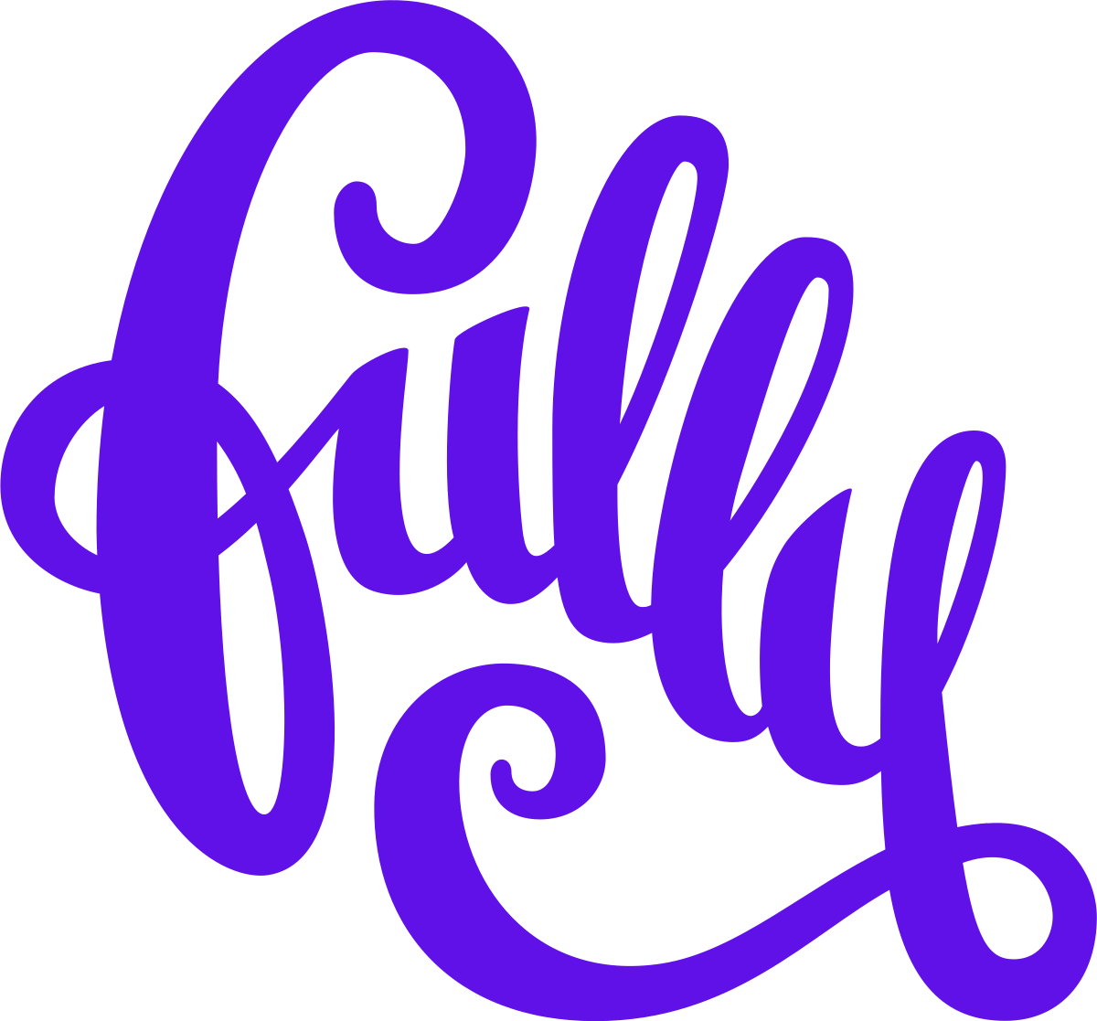 Fully Studios | DatoCMS Partners