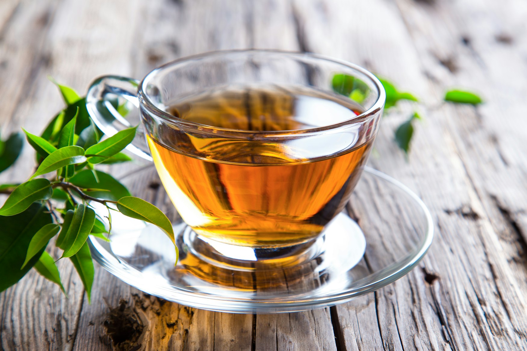 World’s Most Famous Teas