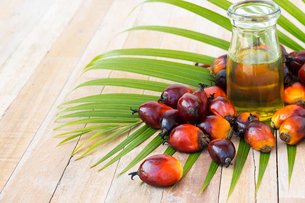 Everything you need to know about Palm Oil